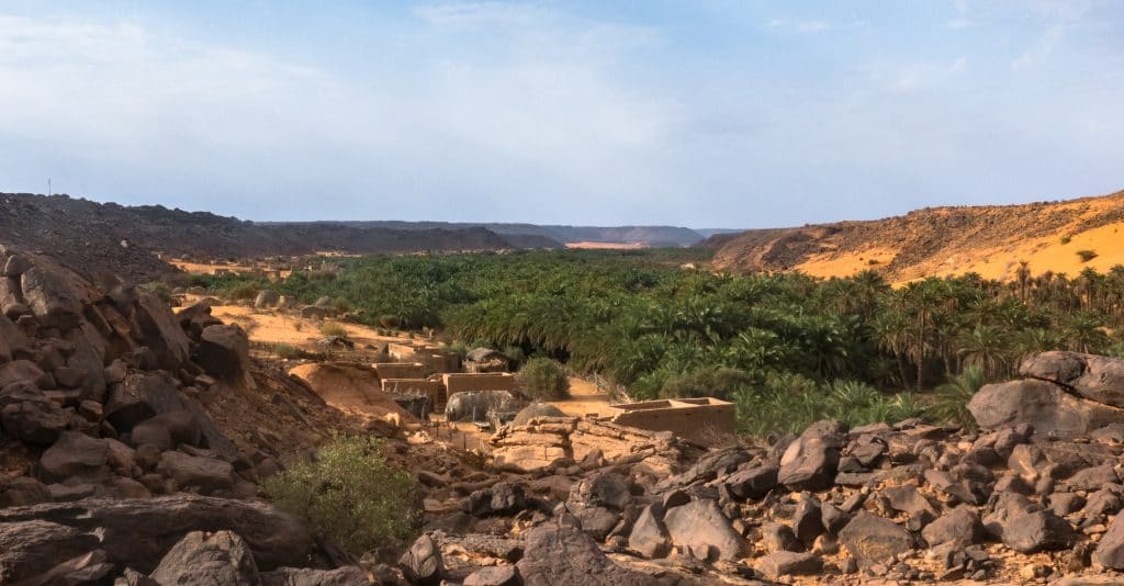 Why the Oasis? - LabOasis