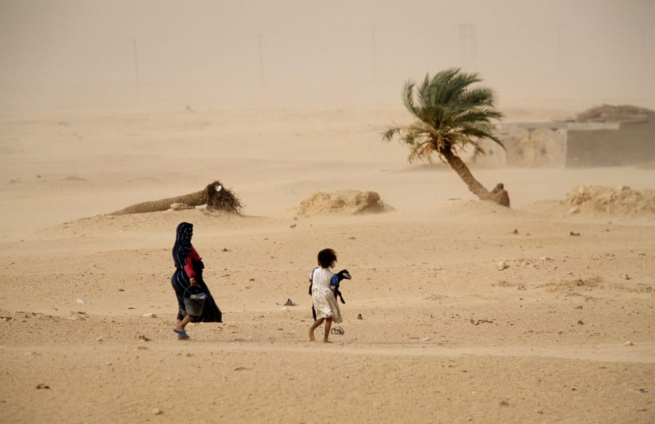 What we do - LabOasis