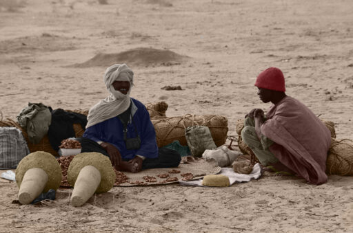 Why the Oasis? - LabOasis